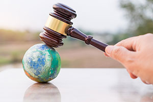 Environmental Expert Witness Testimony In Monterey | M3 Environmental LLC