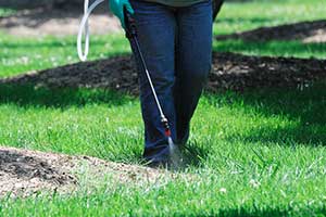 Pesticide Testing In Monterey | M3 Environmental LLC